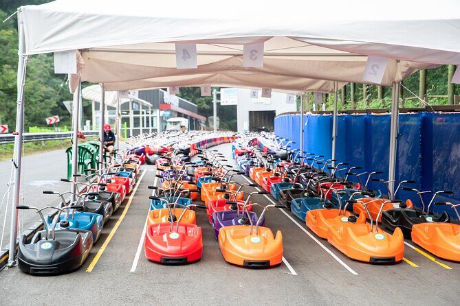 Alpaca World, Railbike and Vivaldi Park Experiences from Seoul - FAQs