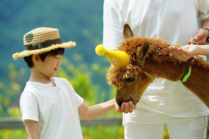 Alpaca World Tour with Nami Island & opt Railbike or Garden/Park - What to Expect on This Well-Designed Day Trip