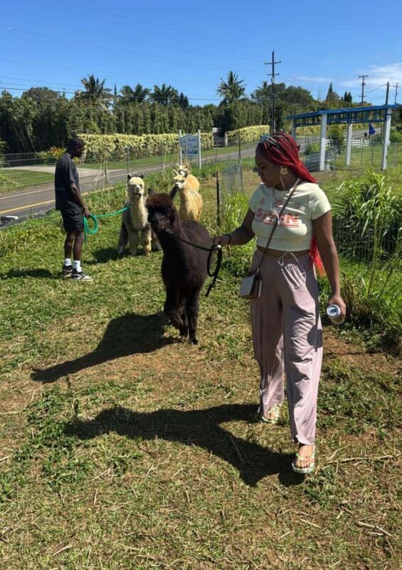 Alpacas Farm Tour on the Road to Hana - FAQ