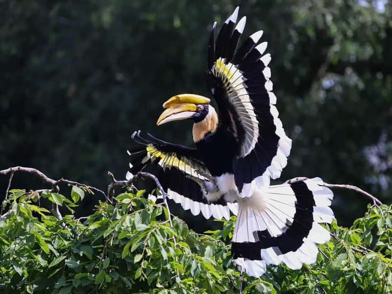 Alphen aan den Rijn: Avifauna Bird Park Entry Ticket - An Insider’s Look at Avifauna Bird Park