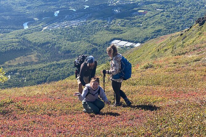Alpine Classic Trek - What is the Alpine Classic Trek?