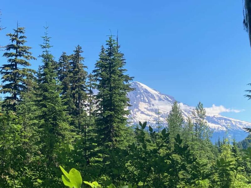 Alpine Lakes Hike In The Gifford Pinchot National Forest - What Travelers Are Saying