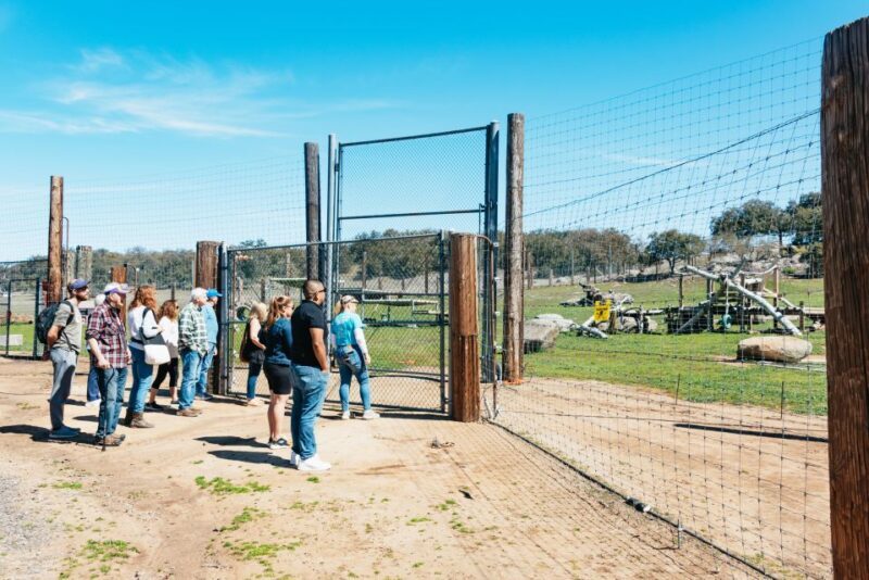 Alpine: Lions Tigers & Bears Animal Sanctuary Guided Visit - Highlights of the Experience