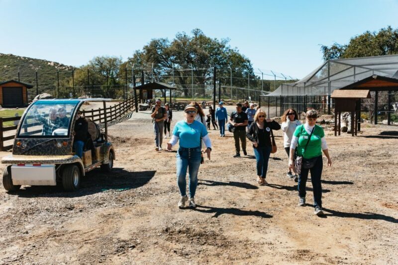 Alpine: Lions Tigers & Bears Sanctuary Visit and Feeding - Who Would Love This Tour?