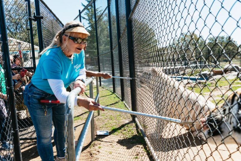 Alpine: Lions Tigers & Bears Sanctuary Visit and Feeding - Frequently Asked Questions