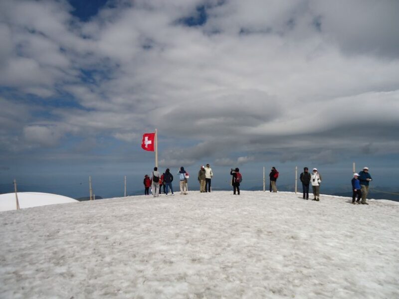 Alpine Majesty: Basel to Jungfraujoch Exclusive Private Tour - The Sum Up