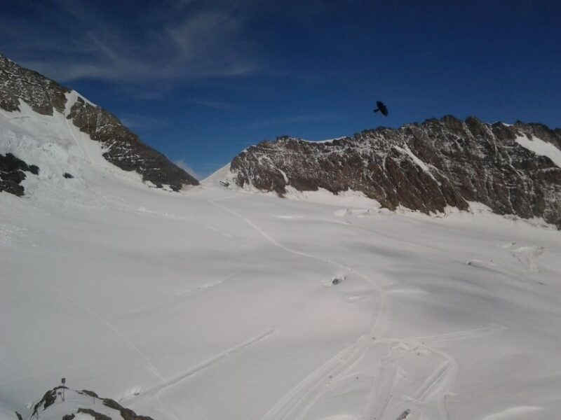 Alpine Majesty: Basel to Jungfraujoch Exclusive Private Tour - FAQ
