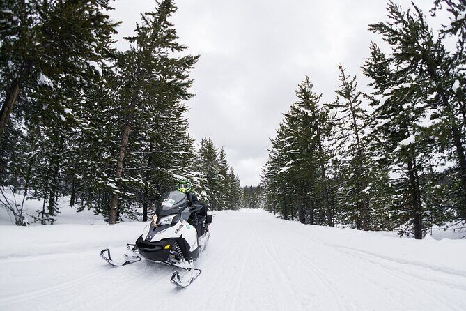 Alpine Self Guided Snowmobile Rentals - Exploring Wyoming’s Winter Landscape: What You Can Expect