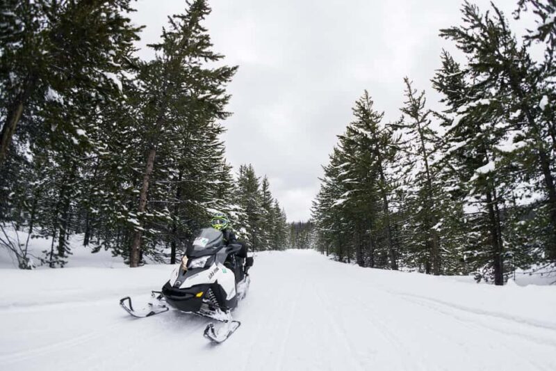 Alpine: Snowmobile Rental with Gear and Trailer - Exploring the Snowy Wilderness on a Snowmobile in Wyoming