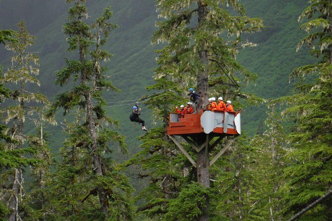 Alpine Zipline Adventure in Juneau, AK - A Closer Look at the Experience