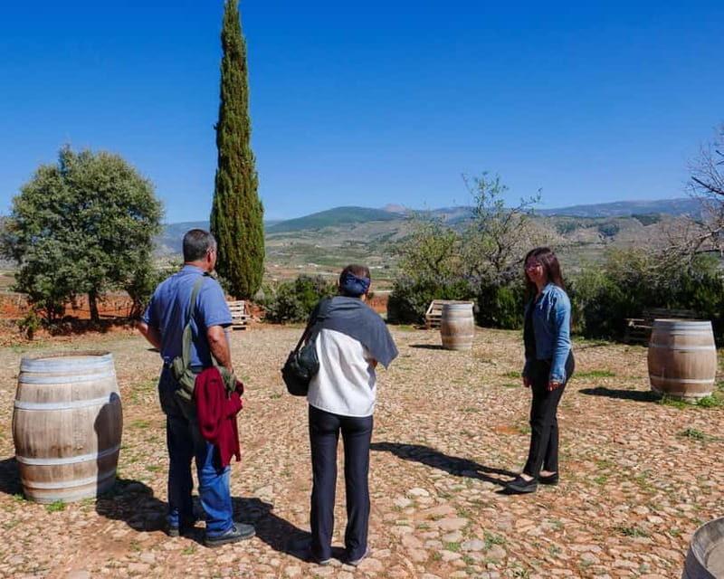 Alpujarra of Almería: Organic Wine tour and local aperitif - Detailed Review of the Experience