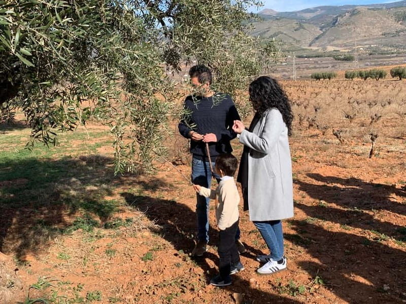 Alpujarra of Almería: Organic Wine tour and local aperitif - Final Thoughts