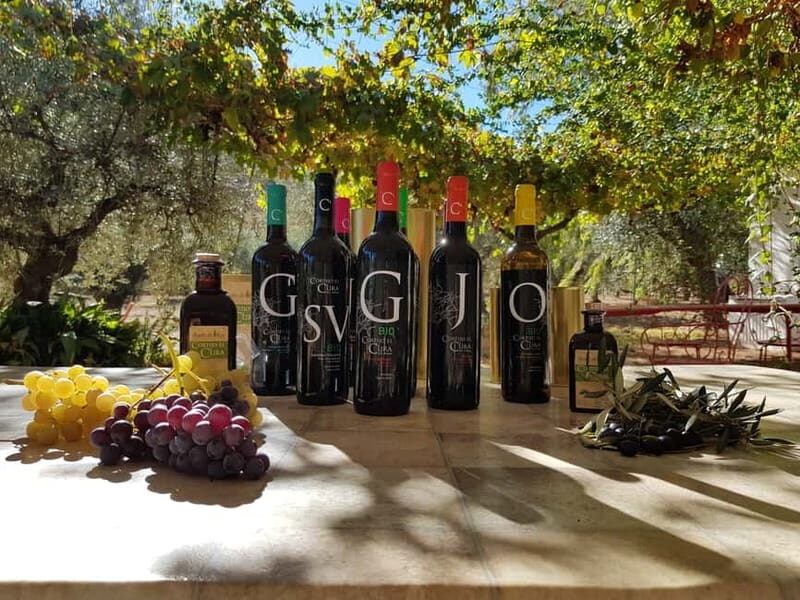 Alpujarra of Almería: Organic Wine tour and local aperitif - FAQ