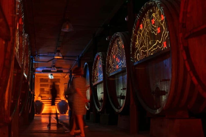 Alsace: Alsatian Wine Tasting Tour and Alsatian Lunch - Who Will Love This Tour?