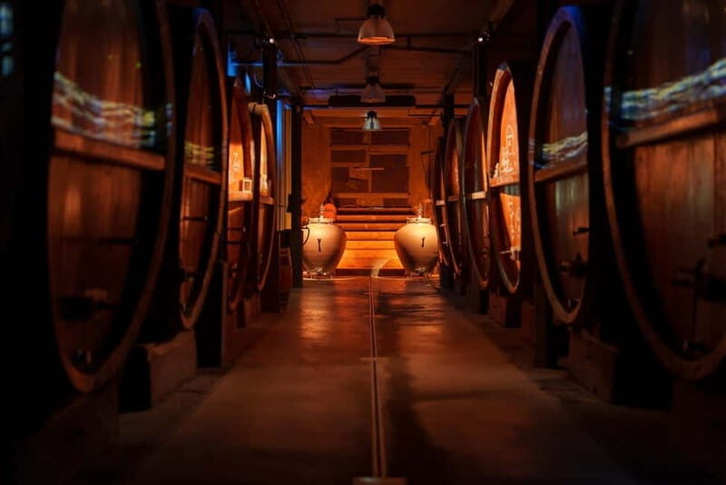 Alsace: Alsatian Wine Tasting Tour and Alsatian Lunch - Frequently Asked Questions