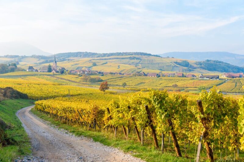Alsace: Full-Day Wine Tour & Tastings from Strasbourg - A Thorough Look at the Tour Experience