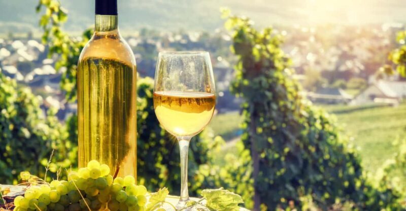 Alsace: Full-Day Wine Tour & Tastings from Strasbourg - Who Will Love This Tour?