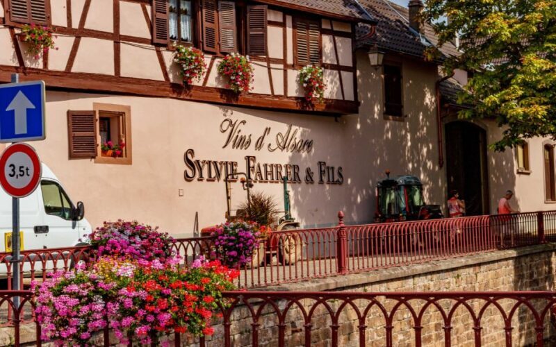 Alsace : Guided winery tour in Alsace - local wine tasting - Who Should Book This Tour?