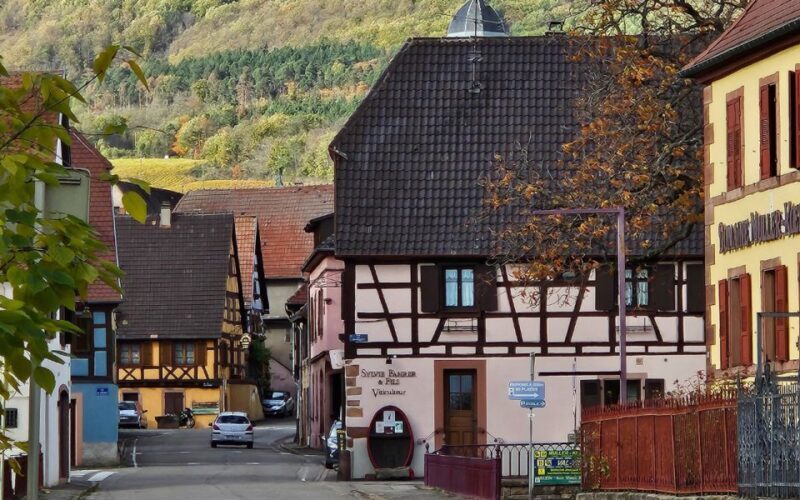 Alsace : Guided winery tour in Alsace - local wine tasting - Final Thoughts