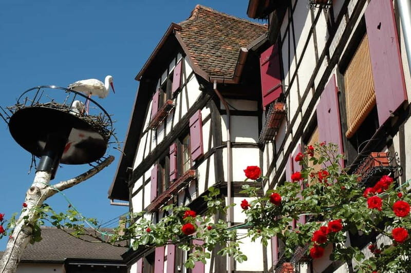 Alsace Half-Day Wine Tour from Strasbourg - Final Thoughts