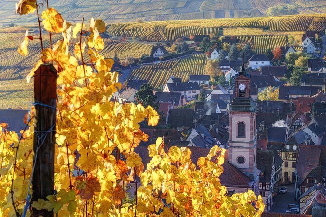 Alsace villages half day tour from Colmar - Introduction: Why This Tour Might Be Perfect for You