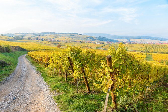 Alsace villages half day tour from Colmar - FAQ