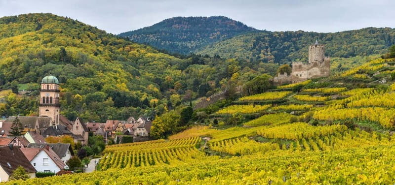 Alsace Wine Route: multi-stop convertible bus tour - The Real Flavour: Authenticity and Practicality