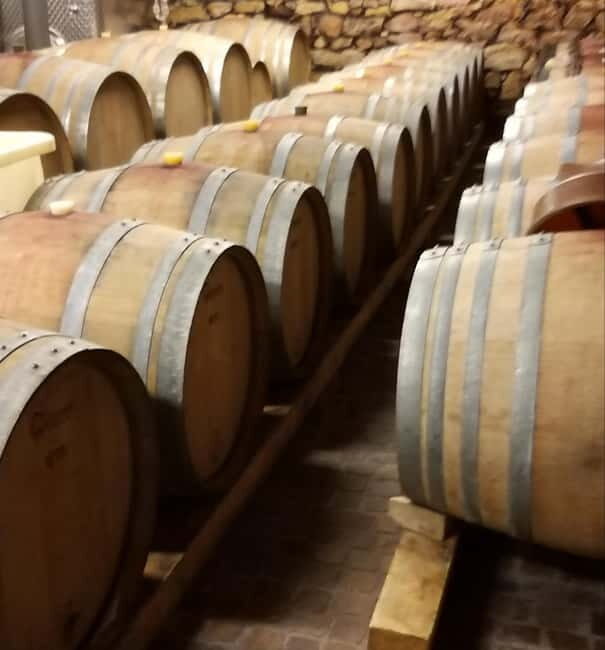 Alsace wine tour & medieval villages small group guided tour - The Sum Up