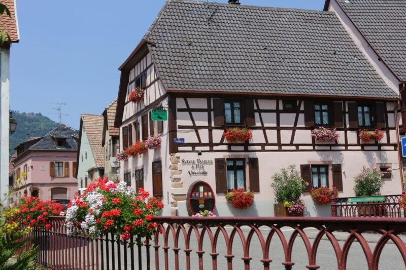 Alsace: Winery Tour & Tasting - The Heart of the Experience: What to Expect