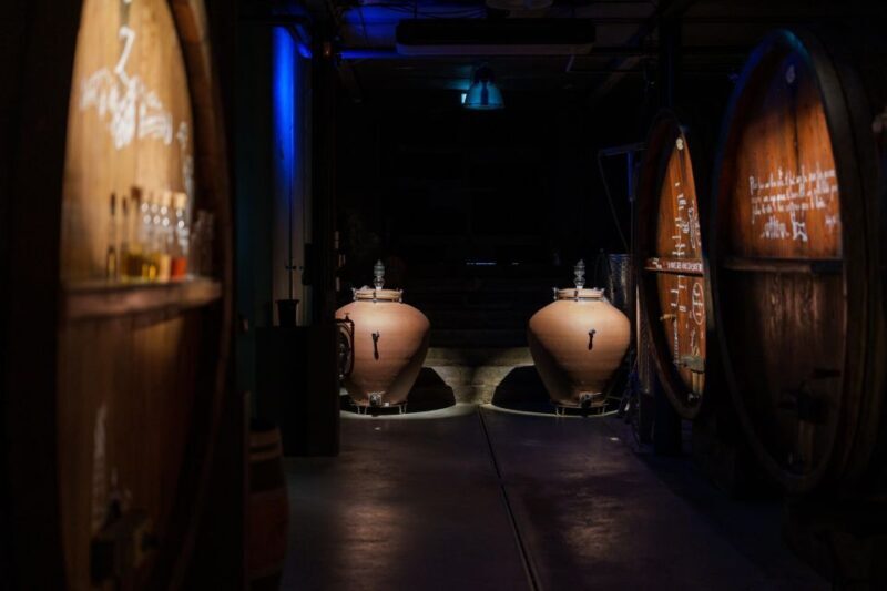 Alsatian brunch with Immersive cellar tour - Key Points