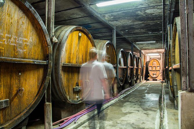 Alsatian brunch with immersive cellar tour - Authenticity and Engagement