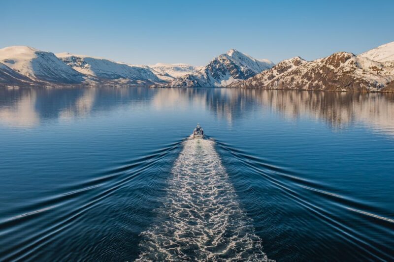 Alta: Altafjord Whale Watching in a Heated Boat - What’s Included and What’s Not?