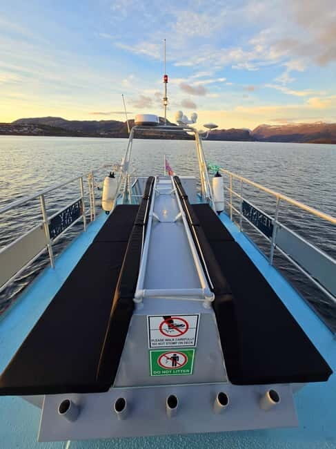 Alta Fjord: Private Sunset Boat Tour - Why This Tour Stands Out