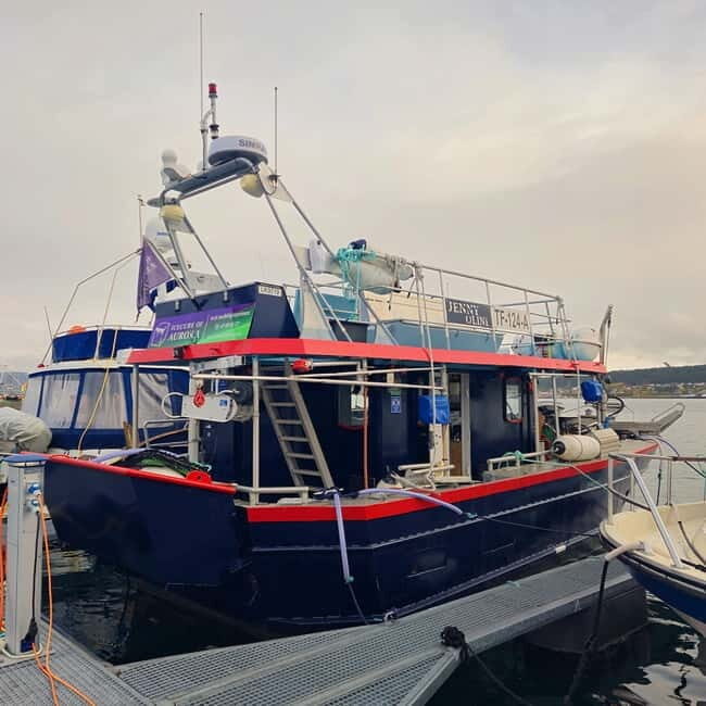 Alta Fjord: Private Sunset Boat Tour - FAQ