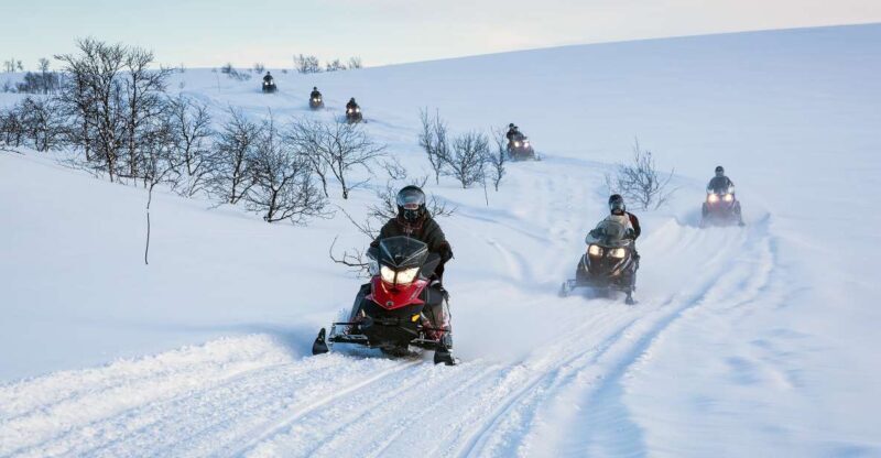 Alta: Guided Snowmobile Safari on Finnmarksvidda With Snacks - Authentic Stops and Local Culture