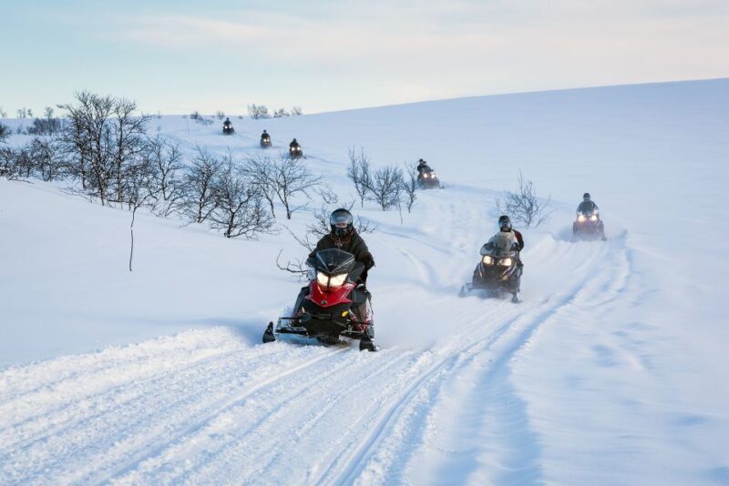 Alta: Guided Snowmobile Safari on Finnmarksvidda With Snacks - Who Will Love This Tour?