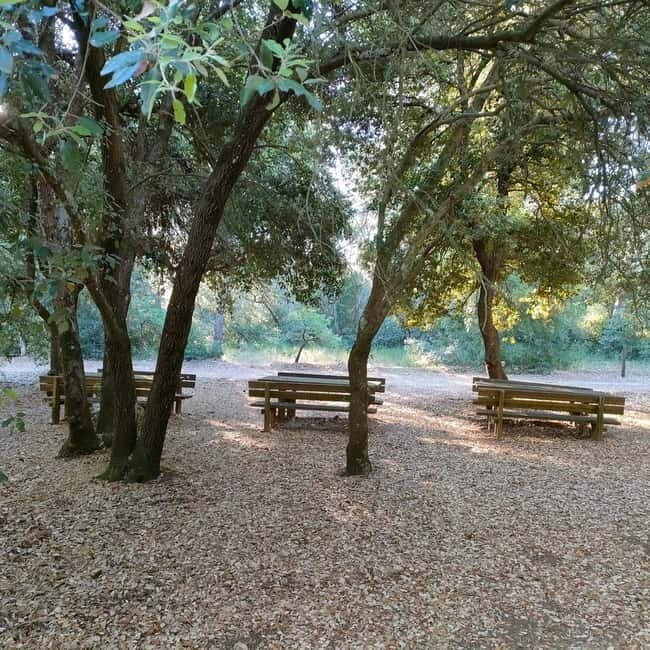 Alta Murgia: E-Bike Tour with Panoramic Aperitivo in Nature - Who Will Appreciate This Tour?
