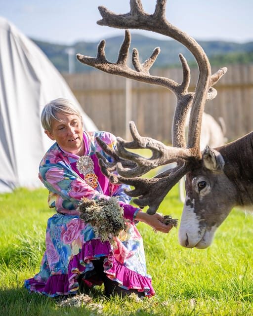Alta: Reindeer - A carrier of Sámi Culture - The Sum Up
