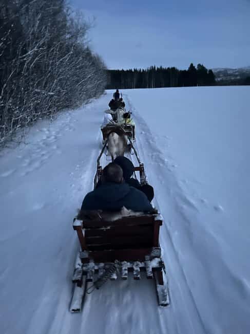 Alta: Reindeer Ride - An In-Depth Look at the Alta Reindeer Ride Experience