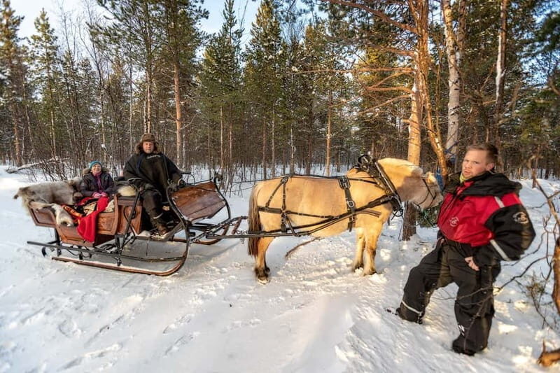 Alta: Sleigh or wagon Ride in the Arctic Countryside - A Gentle Introduction to Alta’s Arctic Charm