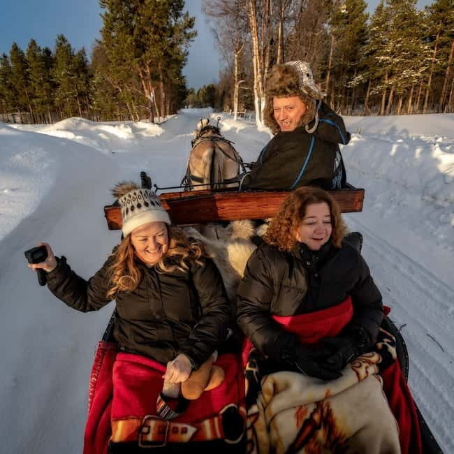 Alta: Sleigh or wagon Ride in the Arctic Countryside - Authenticity and Atmosphere