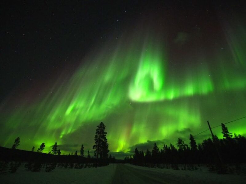 Alta: Small-Group Guided Northern Lights Tour - The Northern Lights Hunt in Alta: What to Expect
