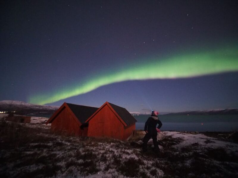 Alta: Small-Group Guided Northern Lights Tour - The Practical Side: Pricing, Group Size, and Logistics