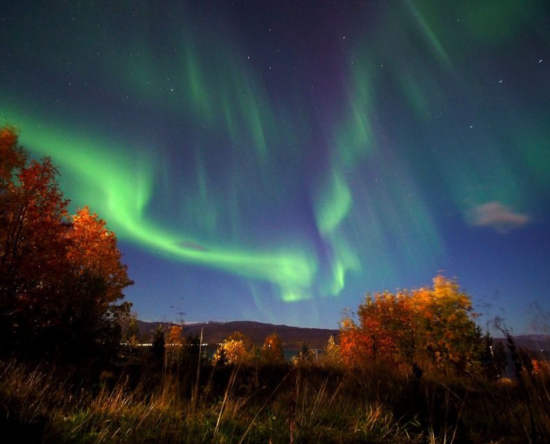 Alta: Small-Group Guided Northern Lights Tour - Authenticity and the Guides’ Expertise