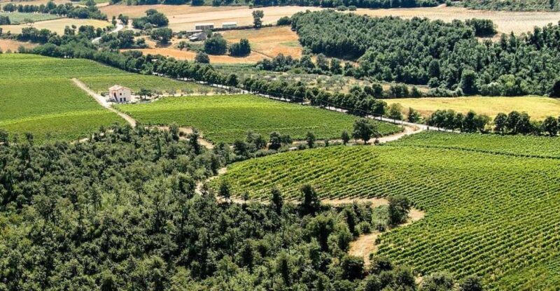 Alta Tuscia eBike tour with visit to Antica Cantina Leonardi - Alta Tuscia eBike Tour with Visit to Antica Cantina Leonardi: A Practical Guide to Loving Lazio’s Countryside