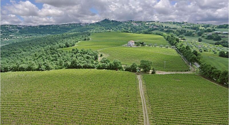 Alta Tuscia eBike tour with visit to Antica Cantina Leonardi - Key Points