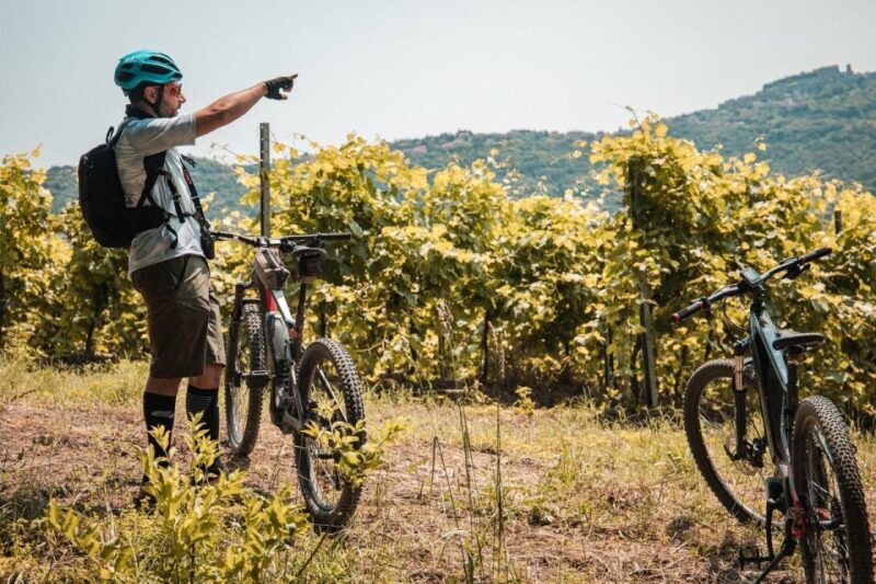 Alta Tuscia eBike tour with visit to Antica Cantina Leonardi - Who Will Love This Tour?