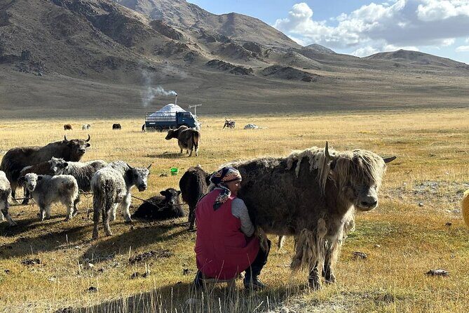 Altai Tavan Bogd and Eagle Festival - FAQs