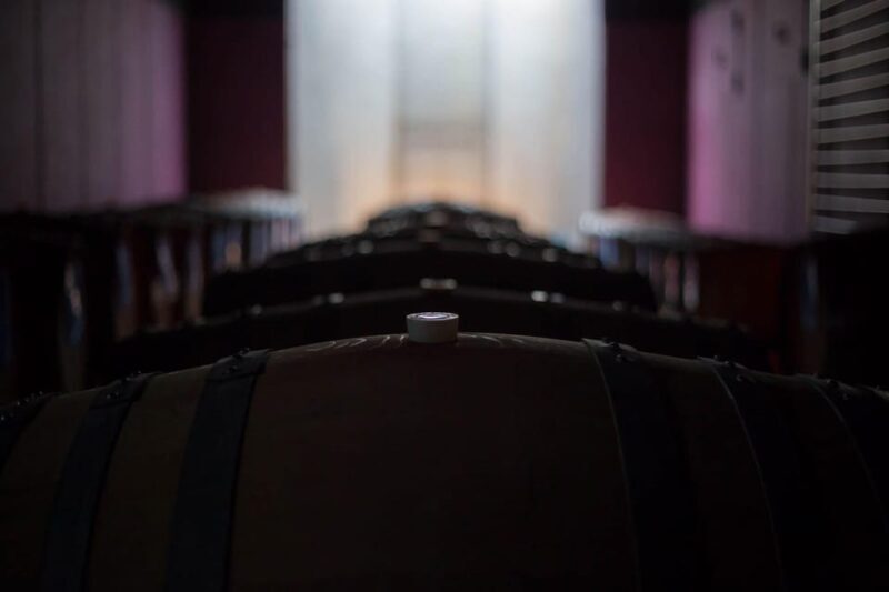 Alto Piemonte: Classic Wine Tasting - The Sum Up