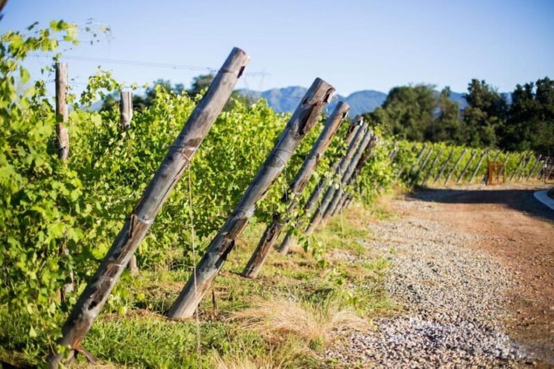 Alto Piemonte: Private Wine Tasting - What to Expect from the Experience